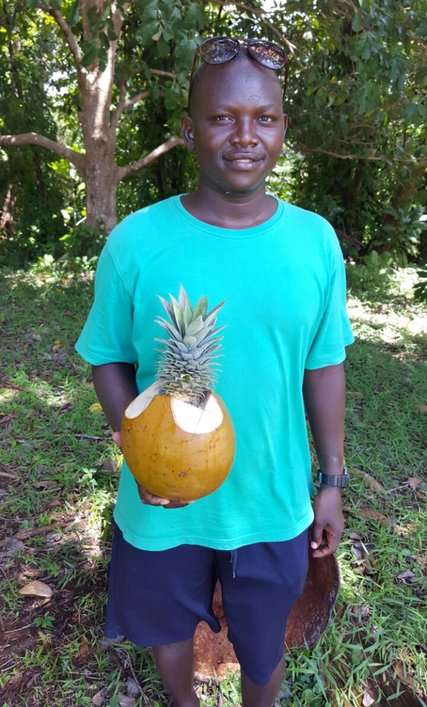 Australia’s Death by Numbers – More to the Story